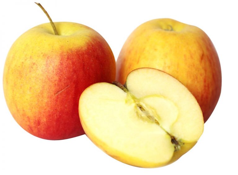 Pinova | Gätschenberger